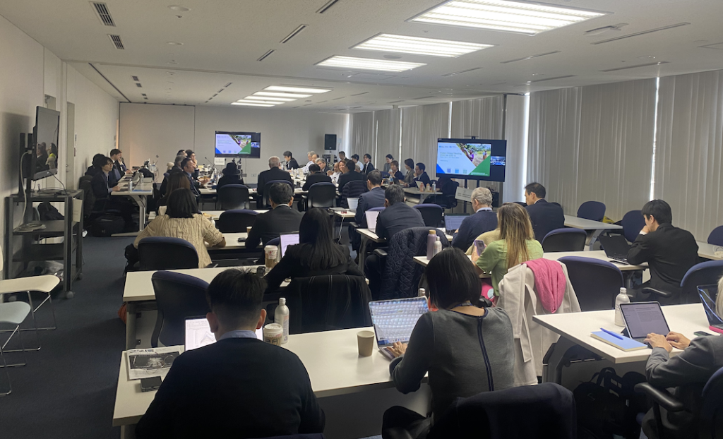 Global Expert Group Meeting in preparation of the SDG13 review at the HLPF 2024 | Department of ...